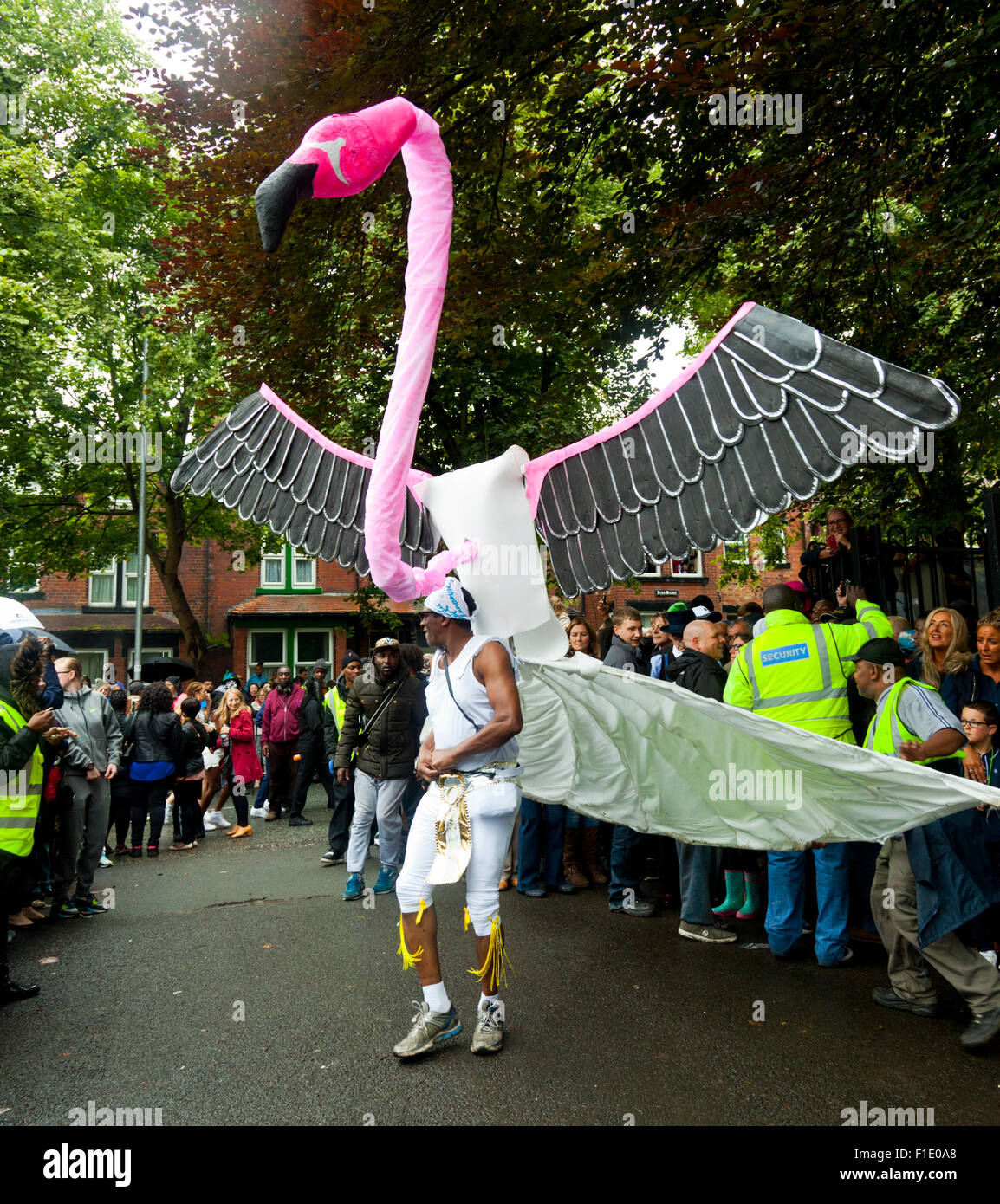 The Birds Costume Male