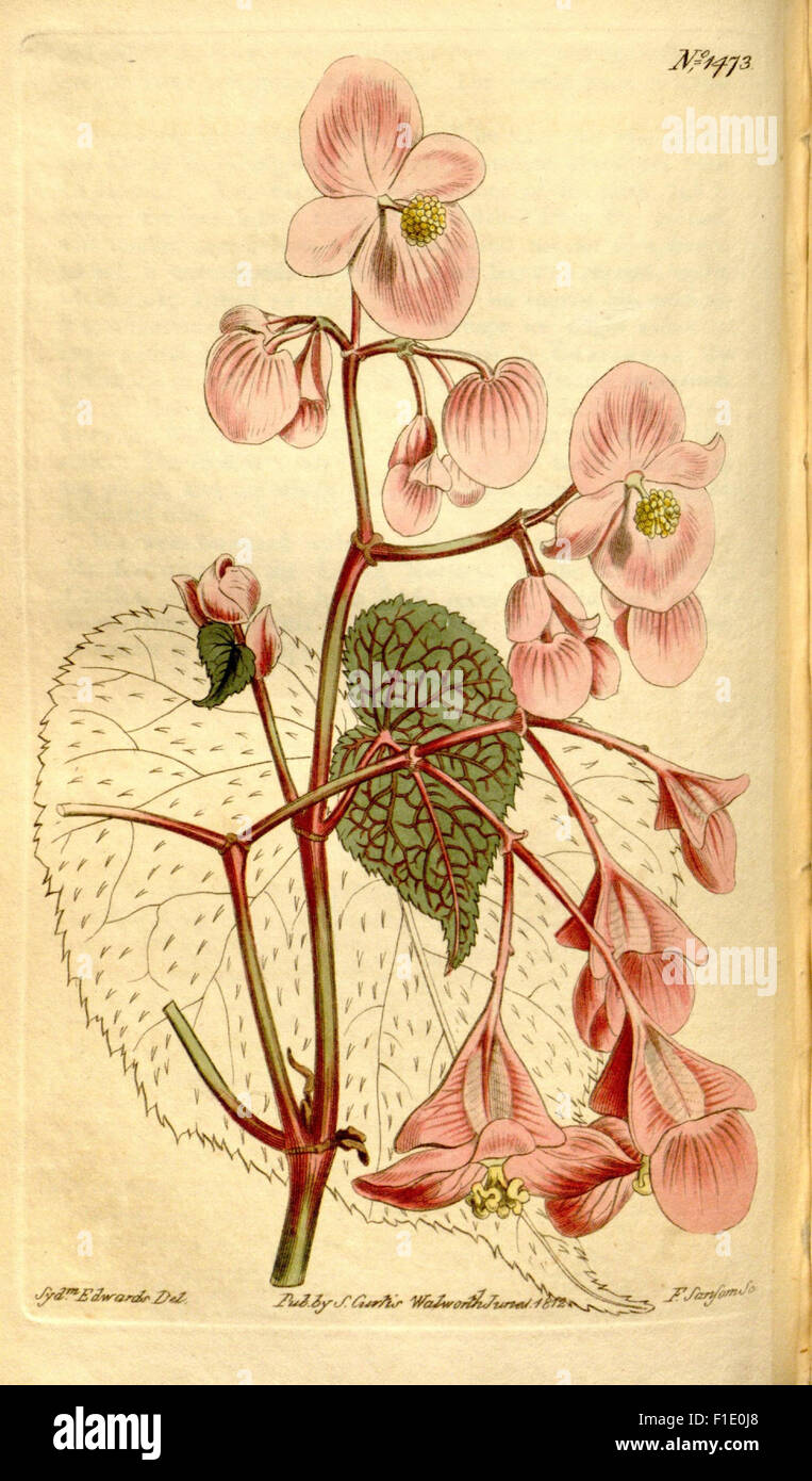 1473 map hi-res stock photography and images - Alamy