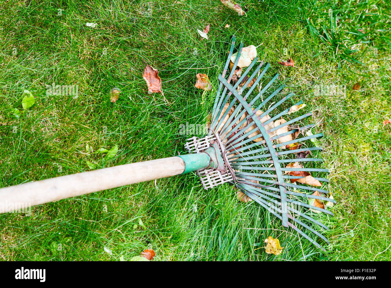 Rake lawn hi-res stock photography and images - Alamy