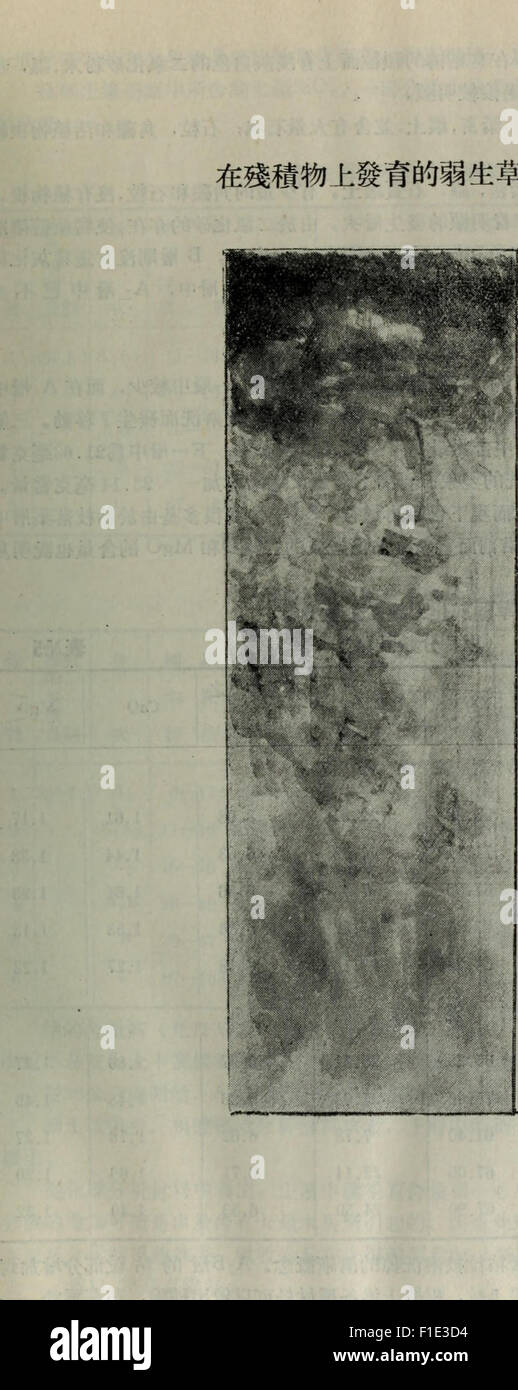 'Da Xing An Ling Sen Lin Zi Yuan Diao Cha Bao Gao' (1954-1955) is a ...