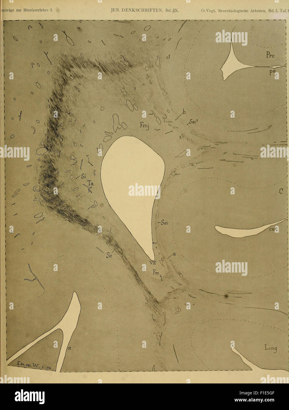 This 1902 volume is a compilation of scholarly papers from the Medical ...