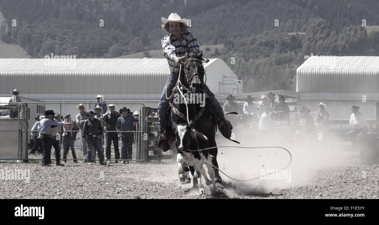 Cowboy roping horse hi-res stock photography and images - Alamy