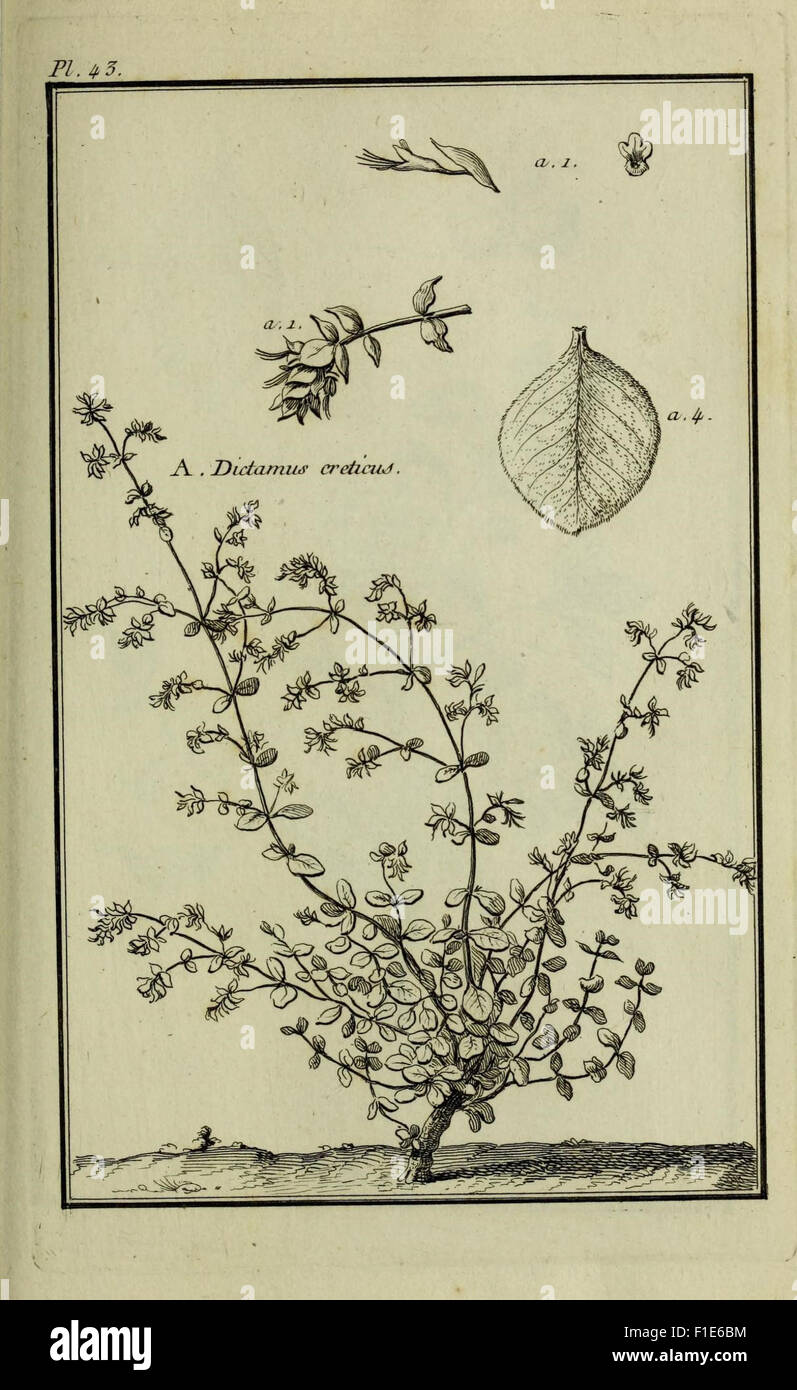 'Description, vertus et usages de sept cents dix-neuf plantes' is a ...