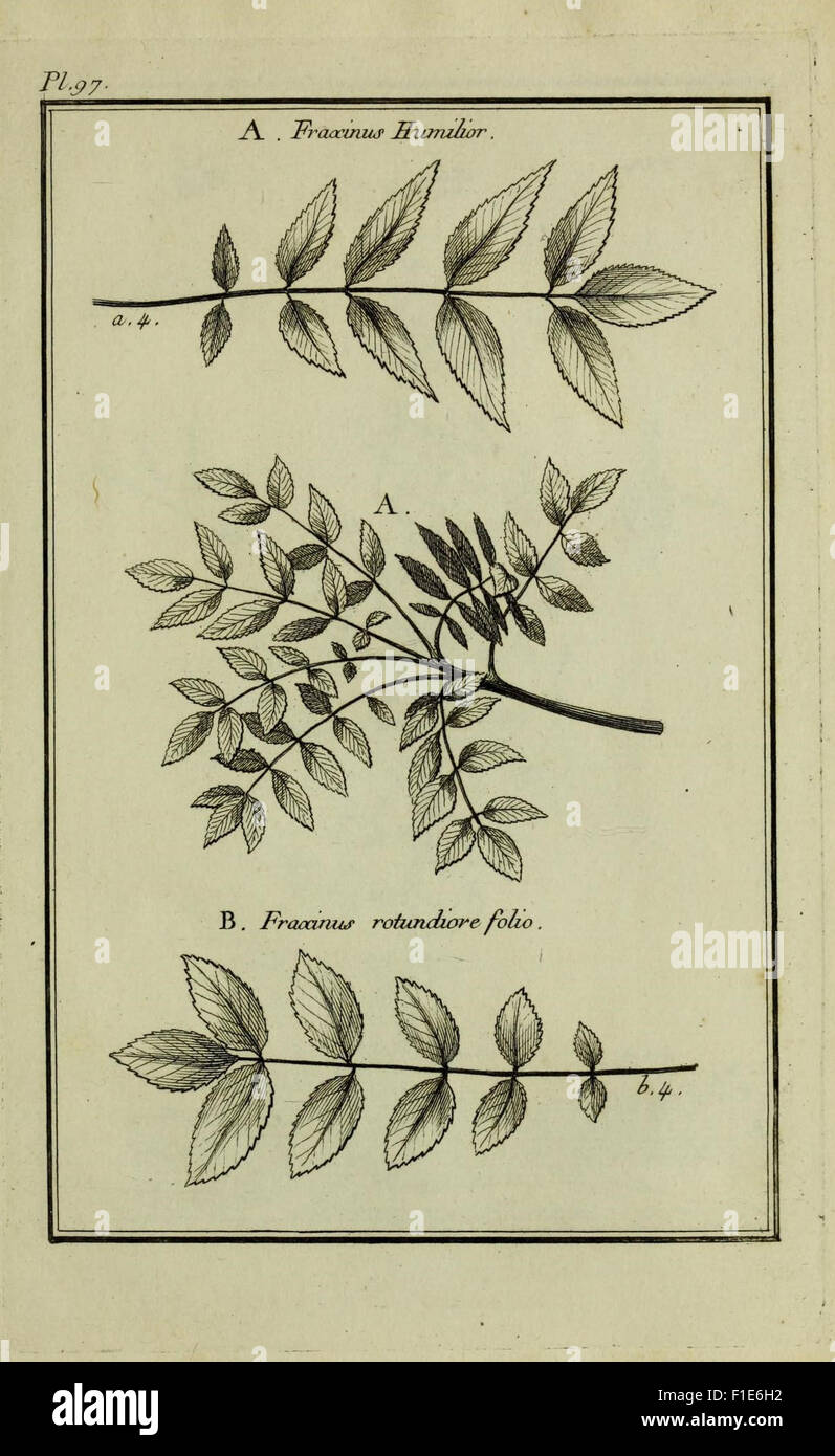 *Description, Vertus et Usages de Sept Cents Dix-Neuf Plantes* provides ...