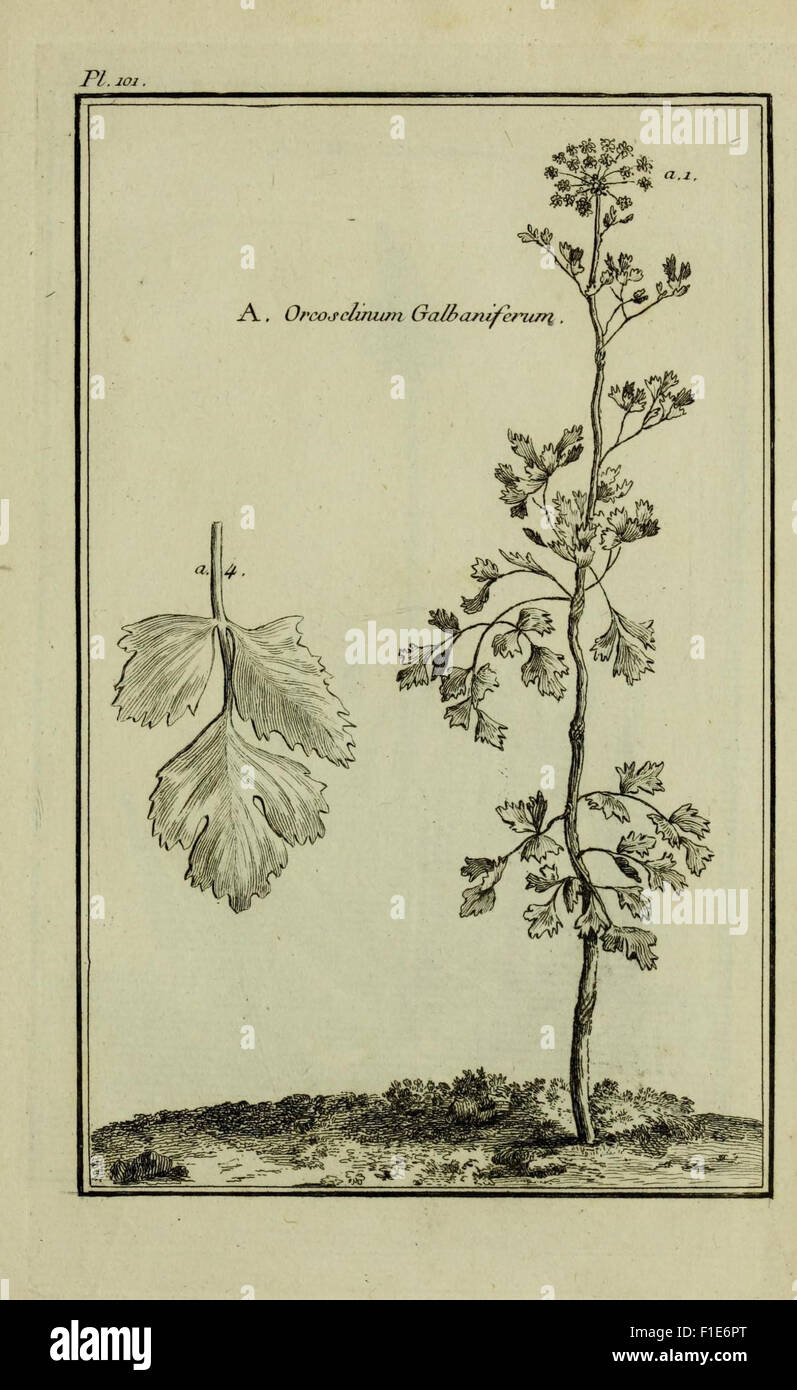 An illustration from 'Description, Vertus et Usages de Sept Cents Dix ...