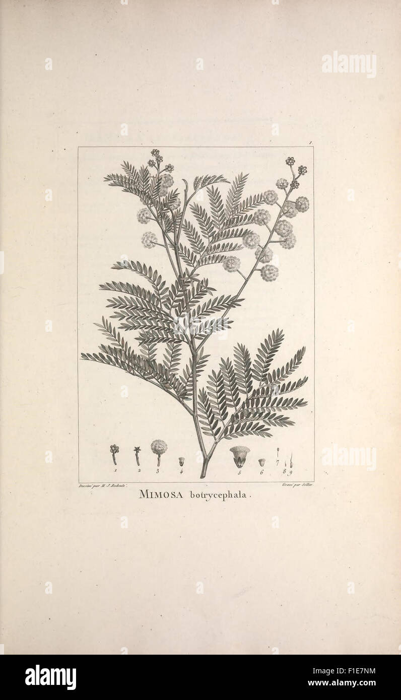 This 19th-century work presents a detailed description of newly ...