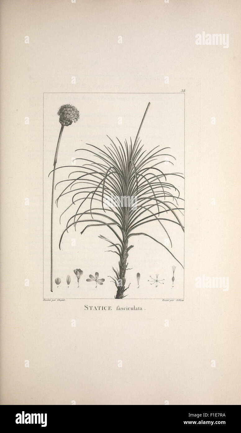 This 19th-century work features illustrations and descriptions of newly ...