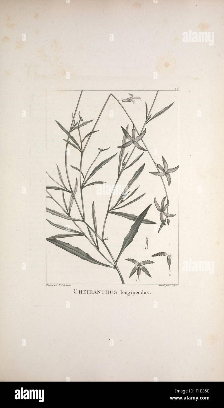 This botanical work presents newly discovered and lesser-known plant ...