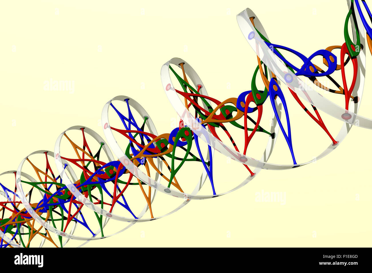 DNA double helix Stock Photo - Alamy