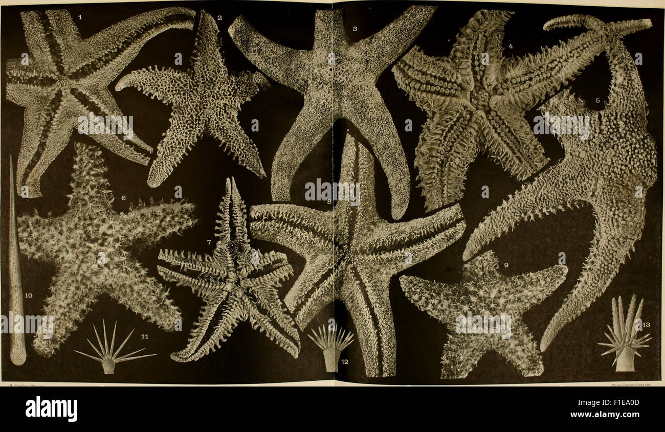 The *Deuxième expédition antarctique française* (1908-1910) was a ...