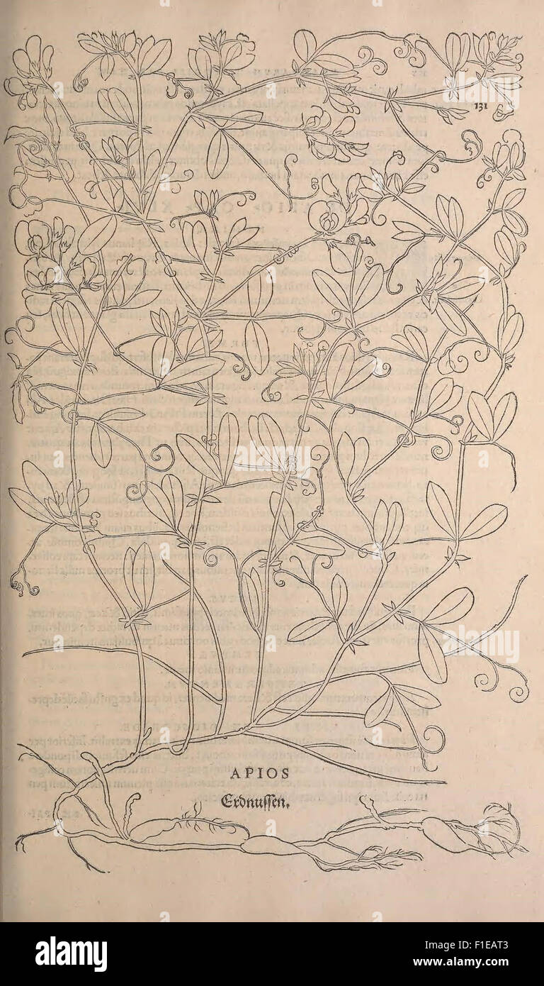 This botanical work focuses on plant history and classification ...