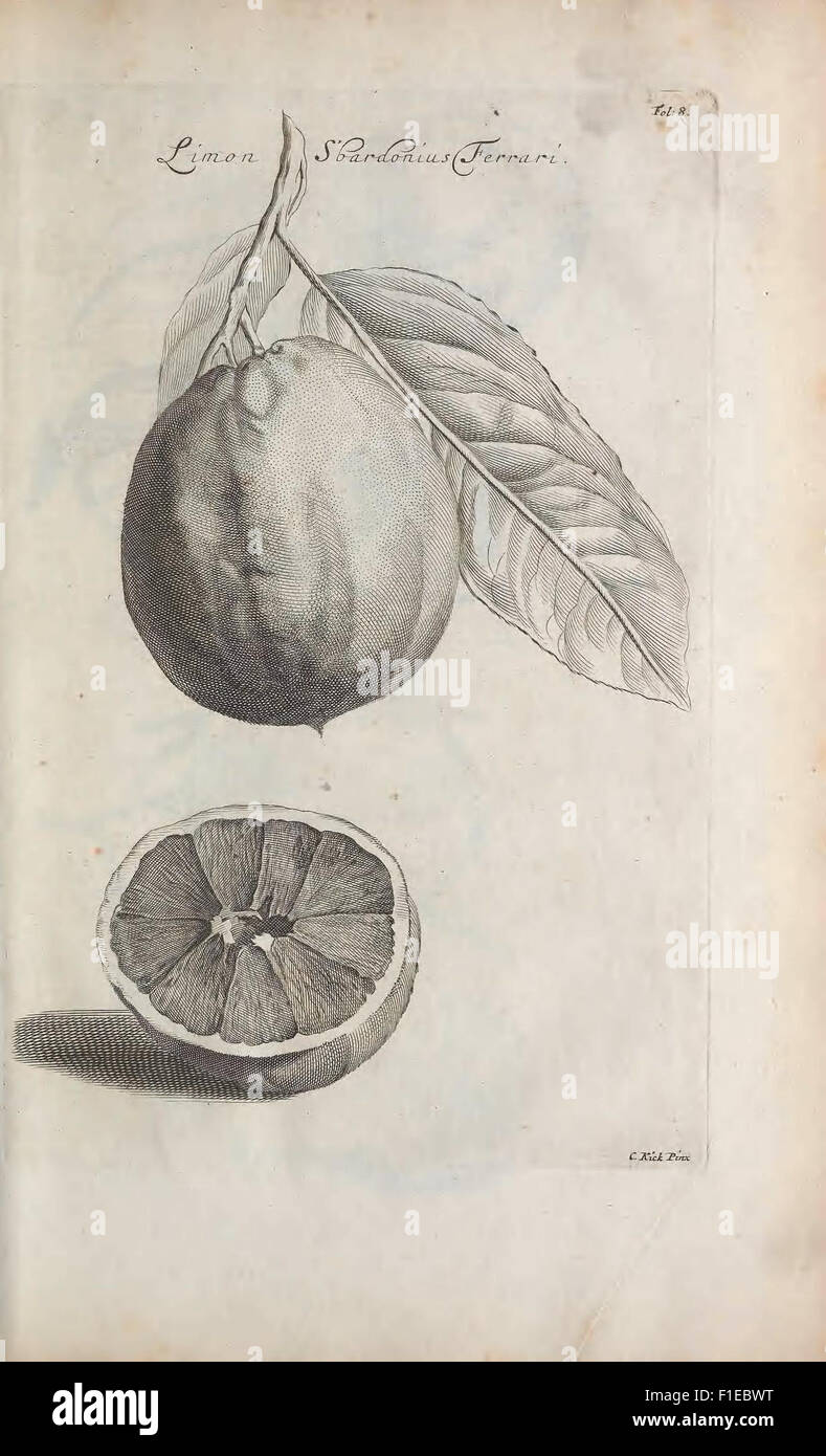 This historical horticultural book outlines methods for growing trees ...