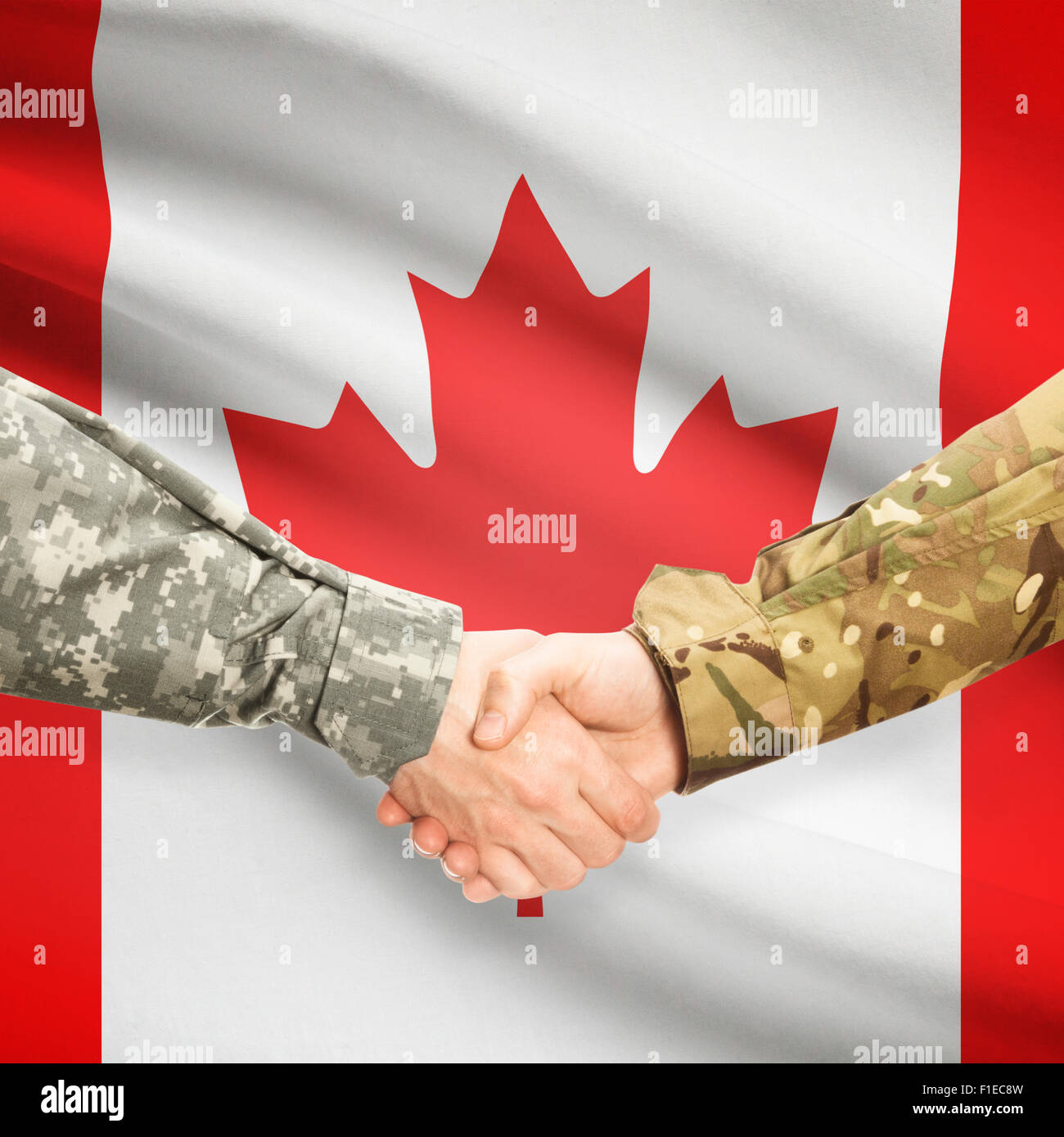 Soldiers shaking hands with flag on background - Canada Stock Photo - Alamy