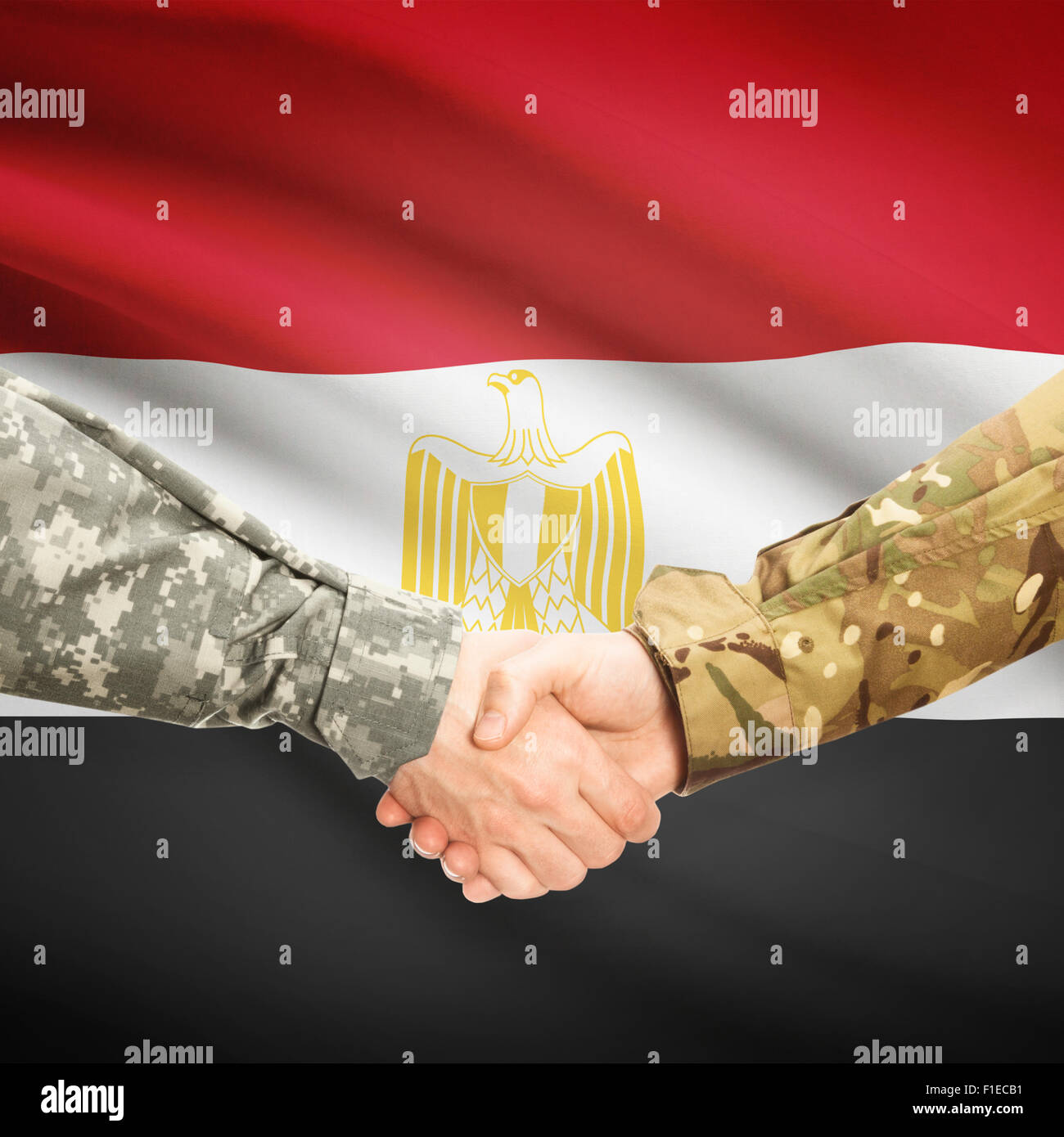 Egyptian soldiers flag hi-res stock photography and images - Alamy