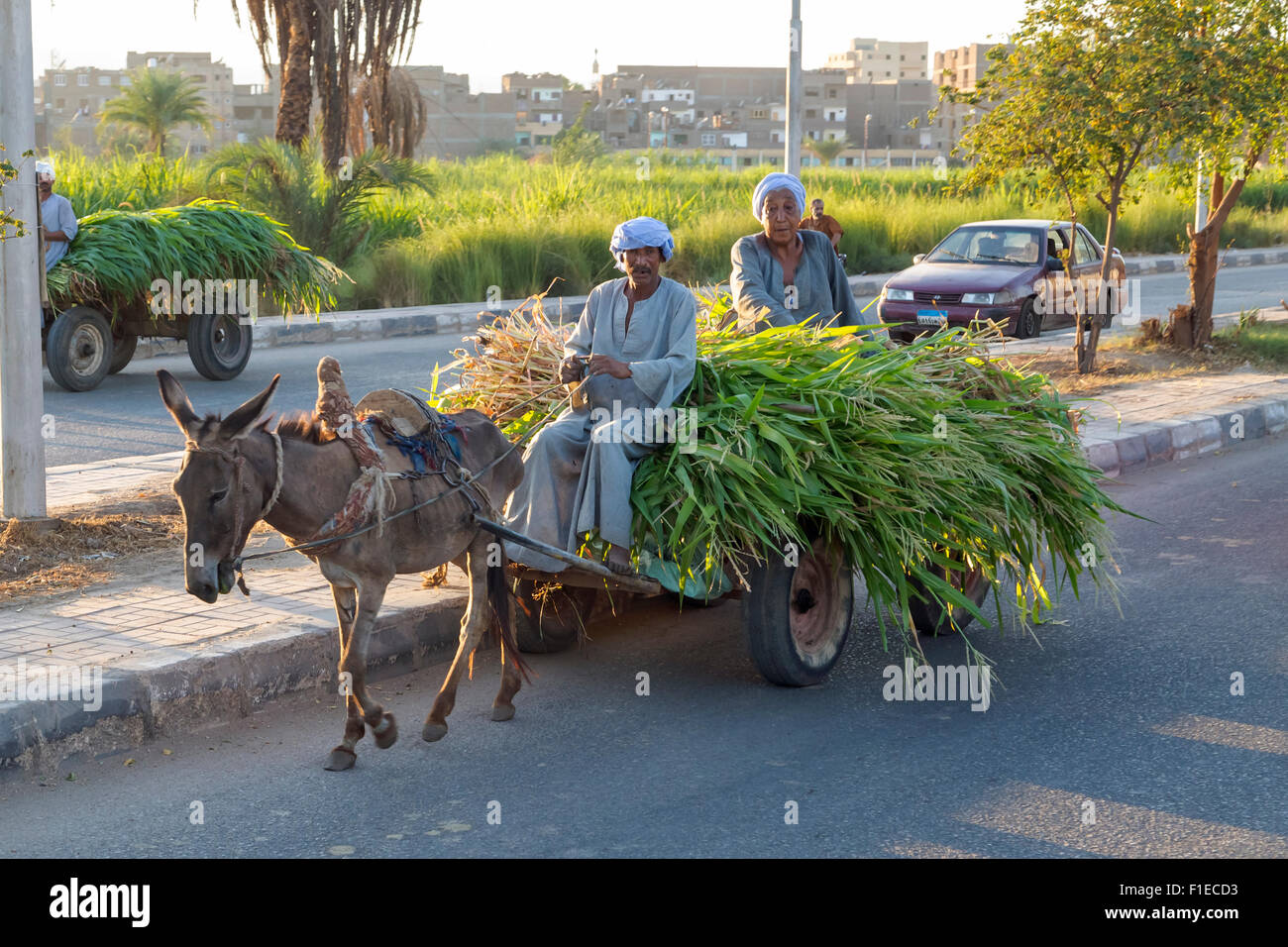 street life in Luxor, Egypt, Africa Stock Photo - Alamy
