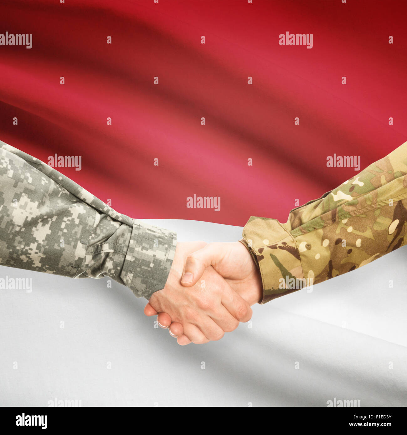 Soldiers shaking hands with flag on background - Monaco Stock Photo - Alamy