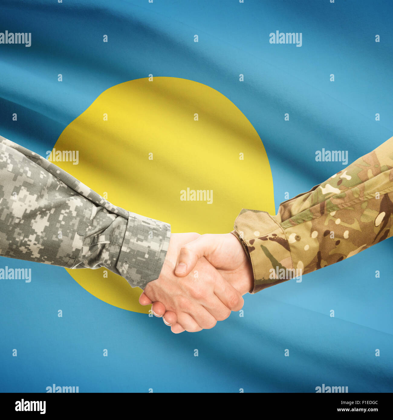 Soldiers shaking hands with flag on background - Palau Stock Photo - Alamy