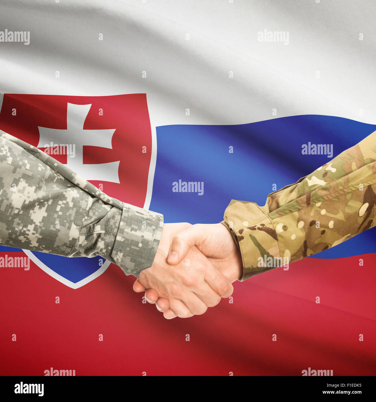 Soldiers shaking hands with flag on background - Slovakia Stock Photo ...