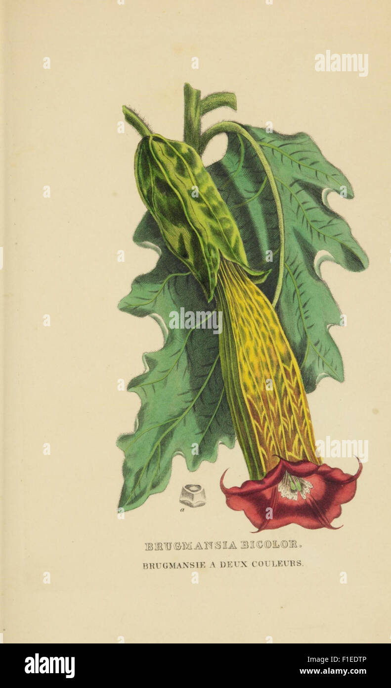 This dictionary is a classical work covering various fields of natural ...