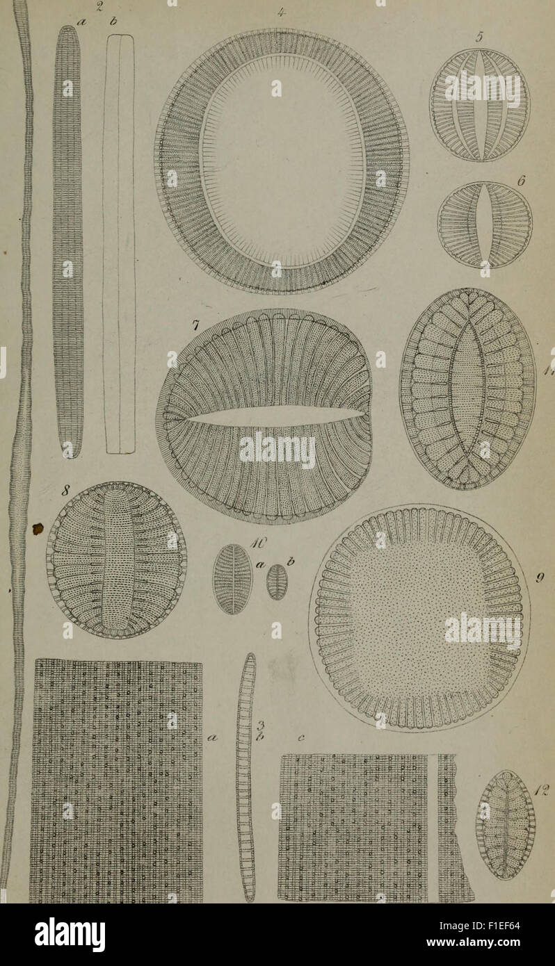 Anschluss map hi-res stock photography and images - Alamy