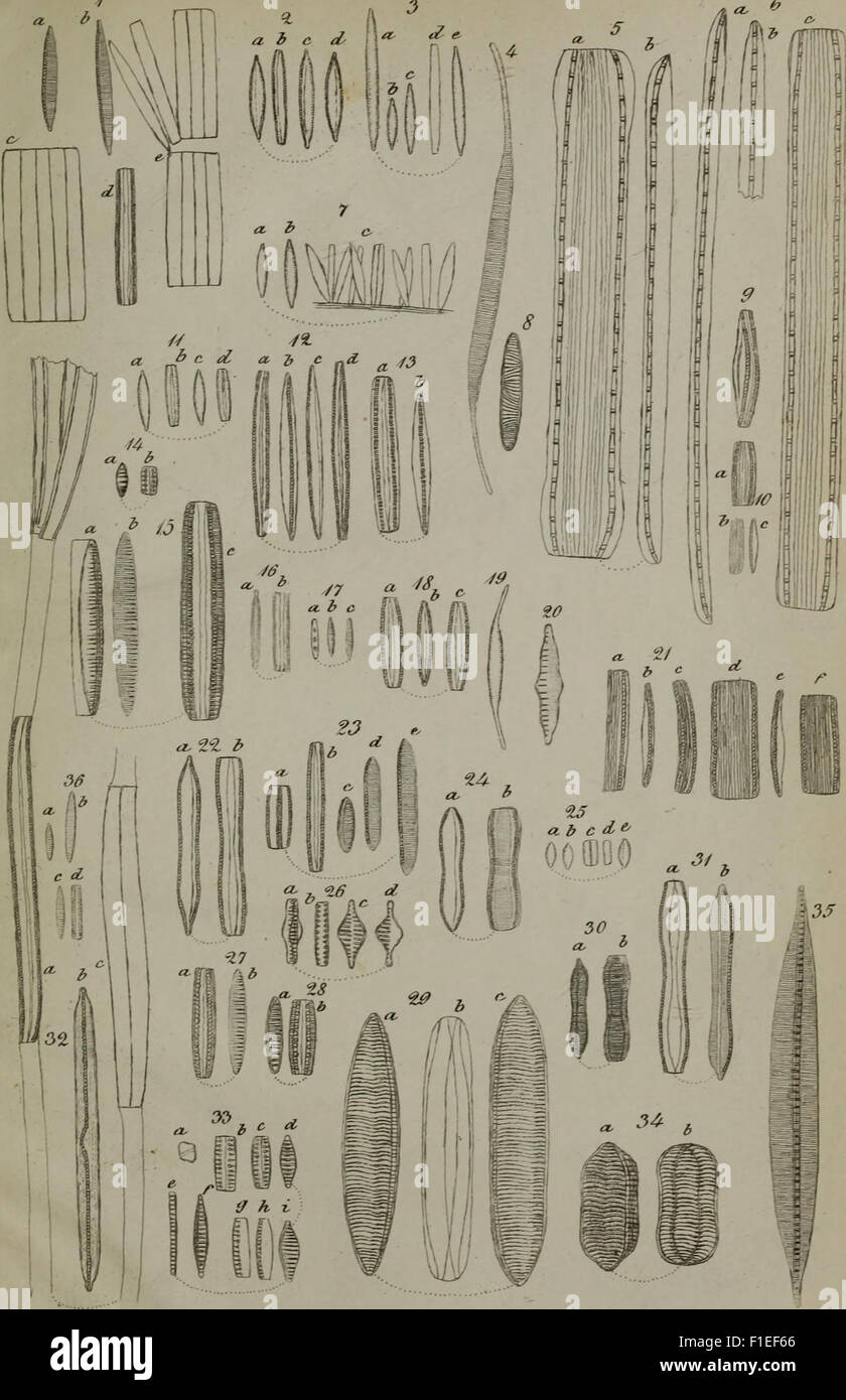 Anschluss map hi-res stock photography and images - Alamy