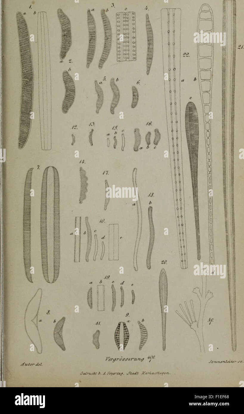 Anschluss map hi-res stock photography and images - Alamy
