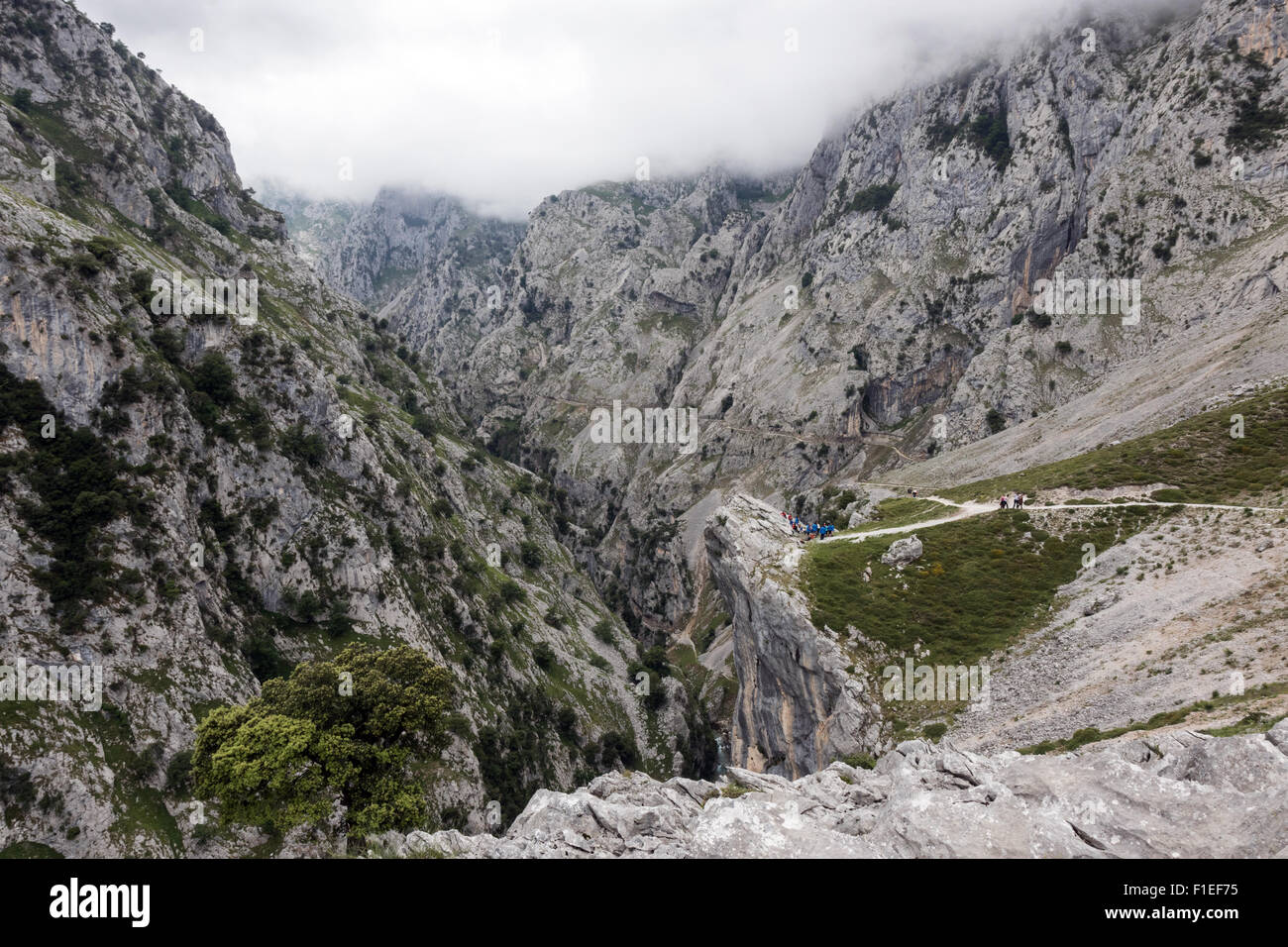 The Cares Gorge near Poncebos in the Picos de Europa national park ...