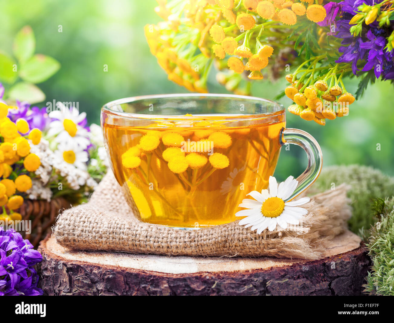 Cup of healthy tancy tea and healing herbs.Herbal medicine Stock Photo ...