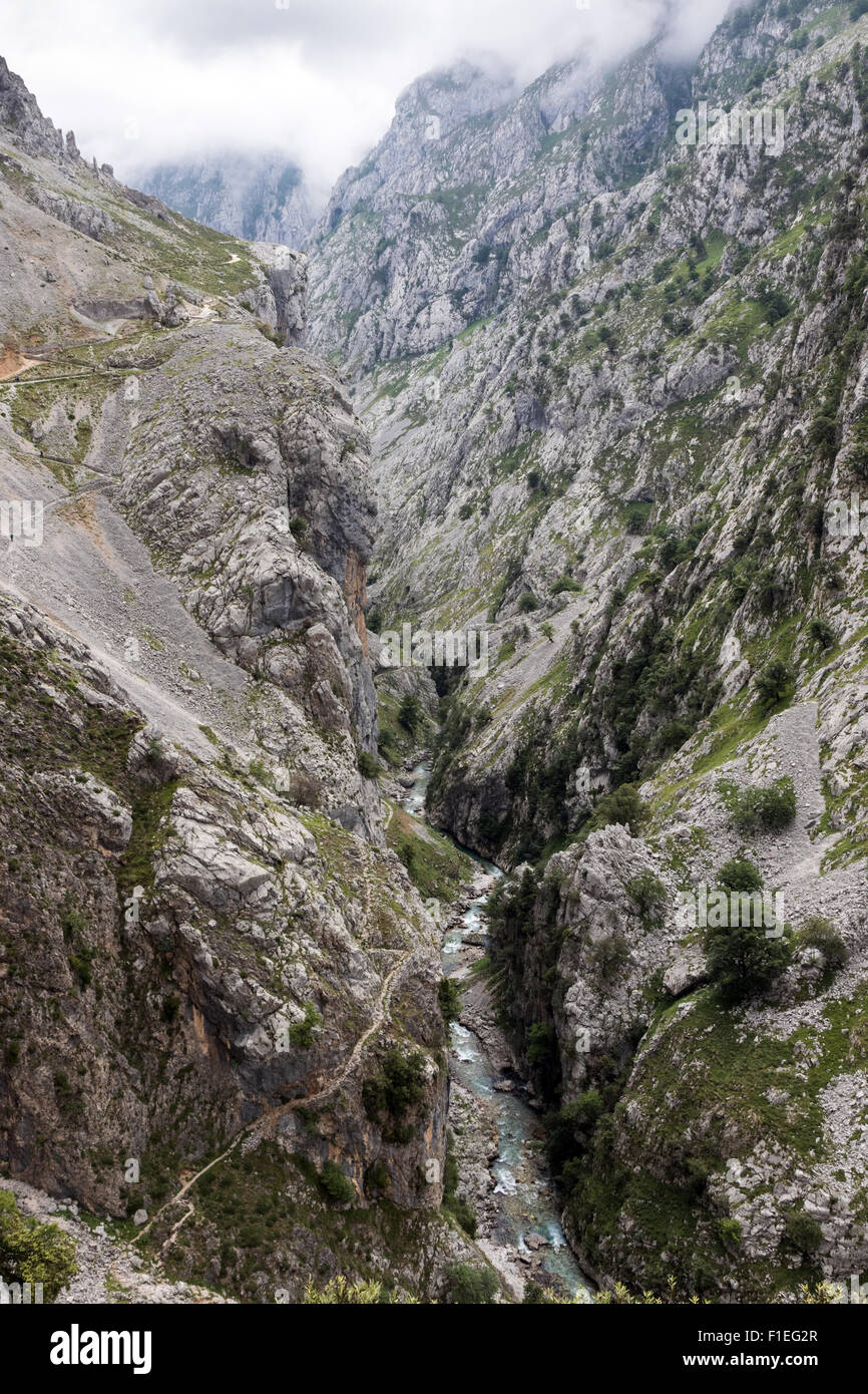 The Cares Gorge near Poncebos in the Picos de Europa national park ...