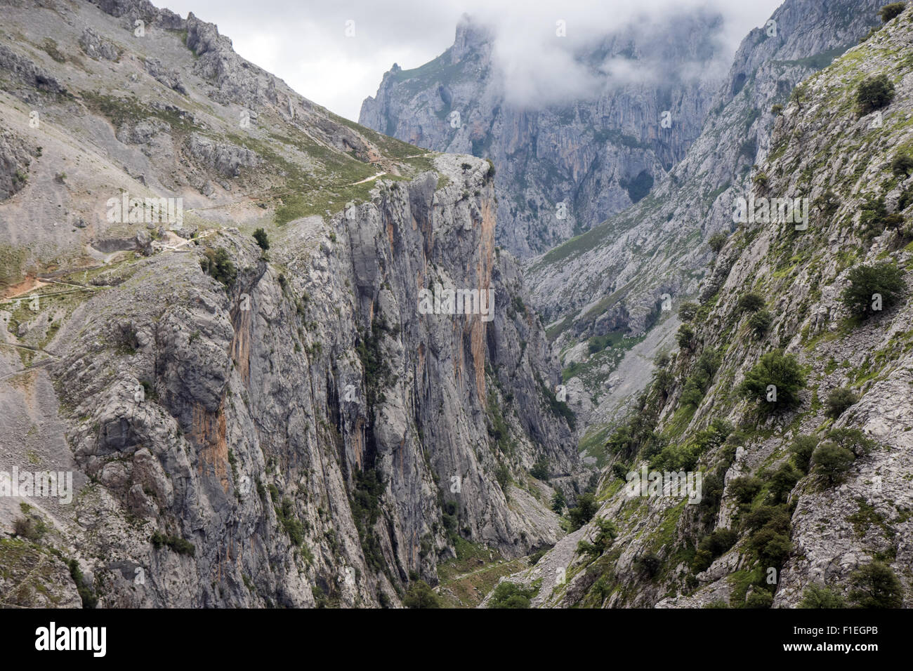 The Cares Gorge near Poncebos in the Picos de Europa national park ...