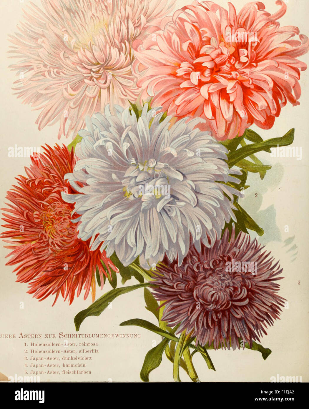 *Die Gartenwelt* (1902) is a German publication focused on garden ...