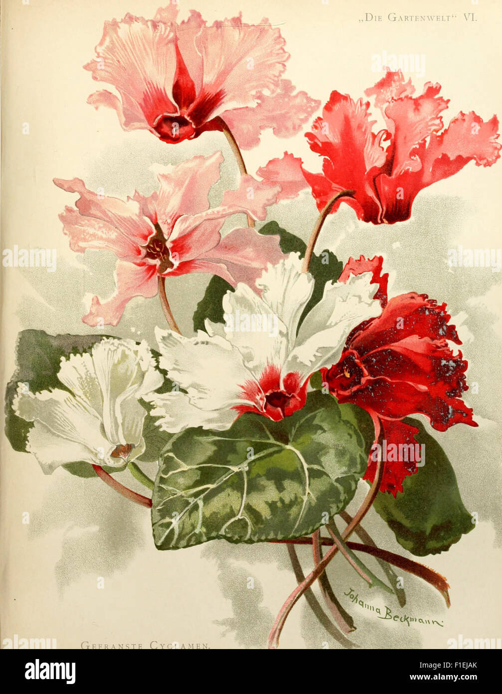 *Die Gartenwelt* is a German publication focusing on horticulture ...