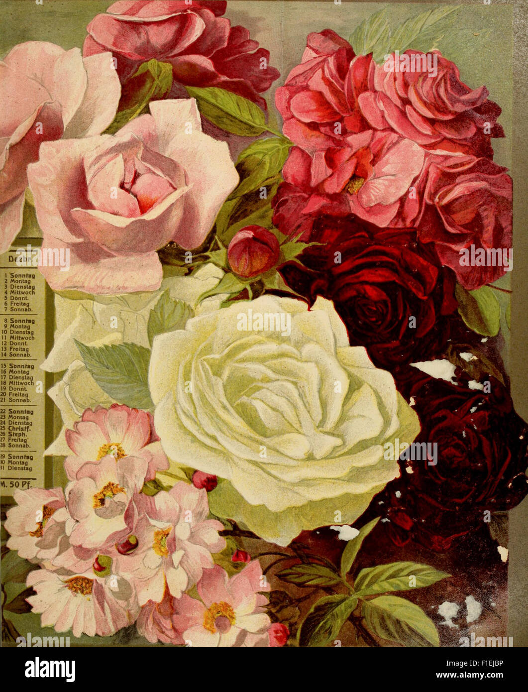 'Die Gartenwelt' from 1912 is a German publication focused on gardening ...