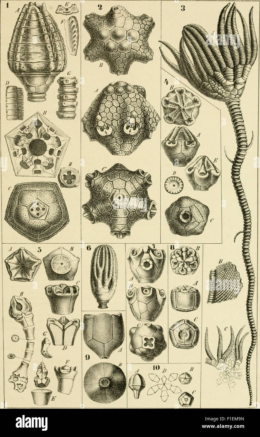 This 1860 work provides scientific explanations and illustrations of ...