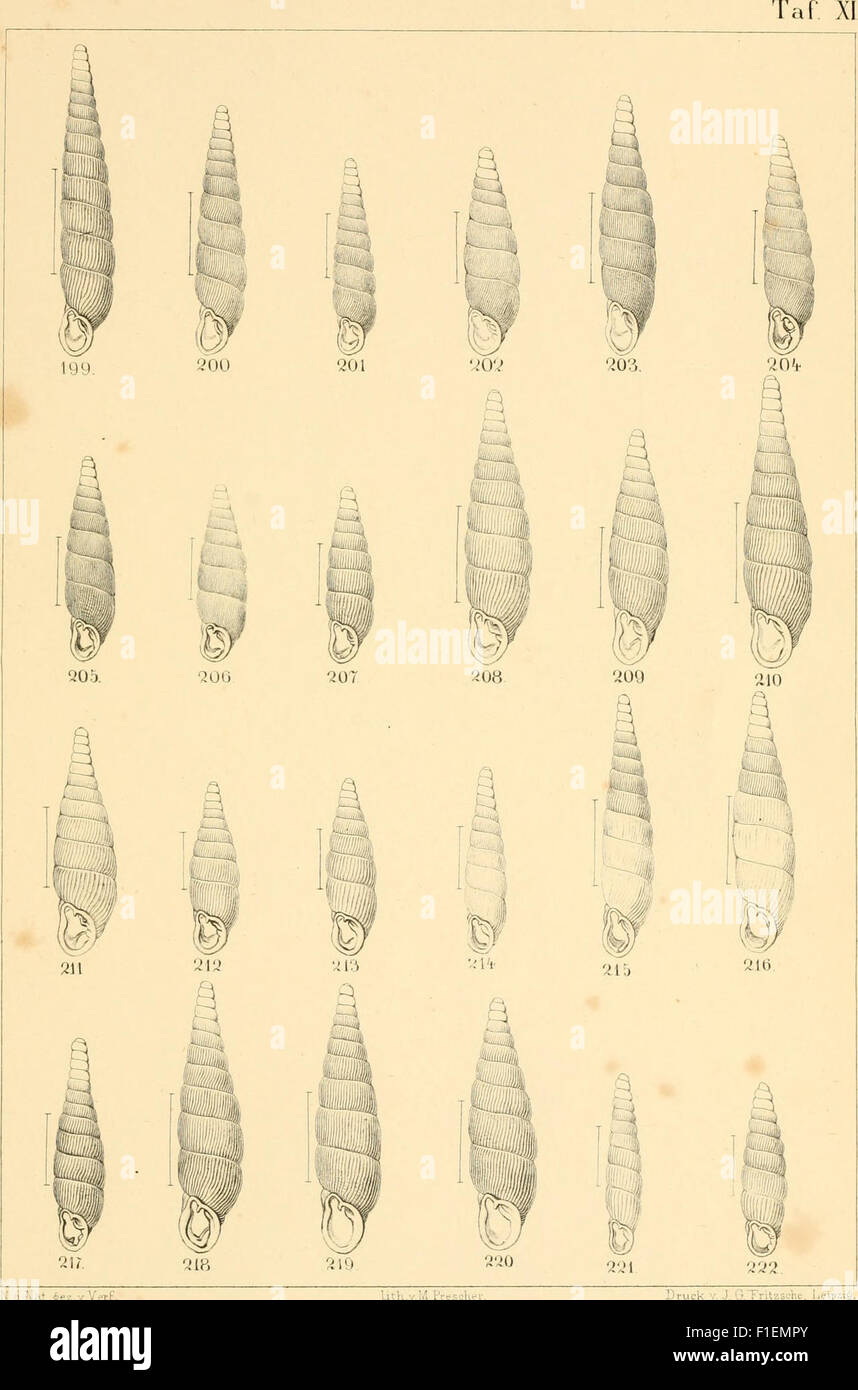 This 1857 work studies critical groups of European lice species ...