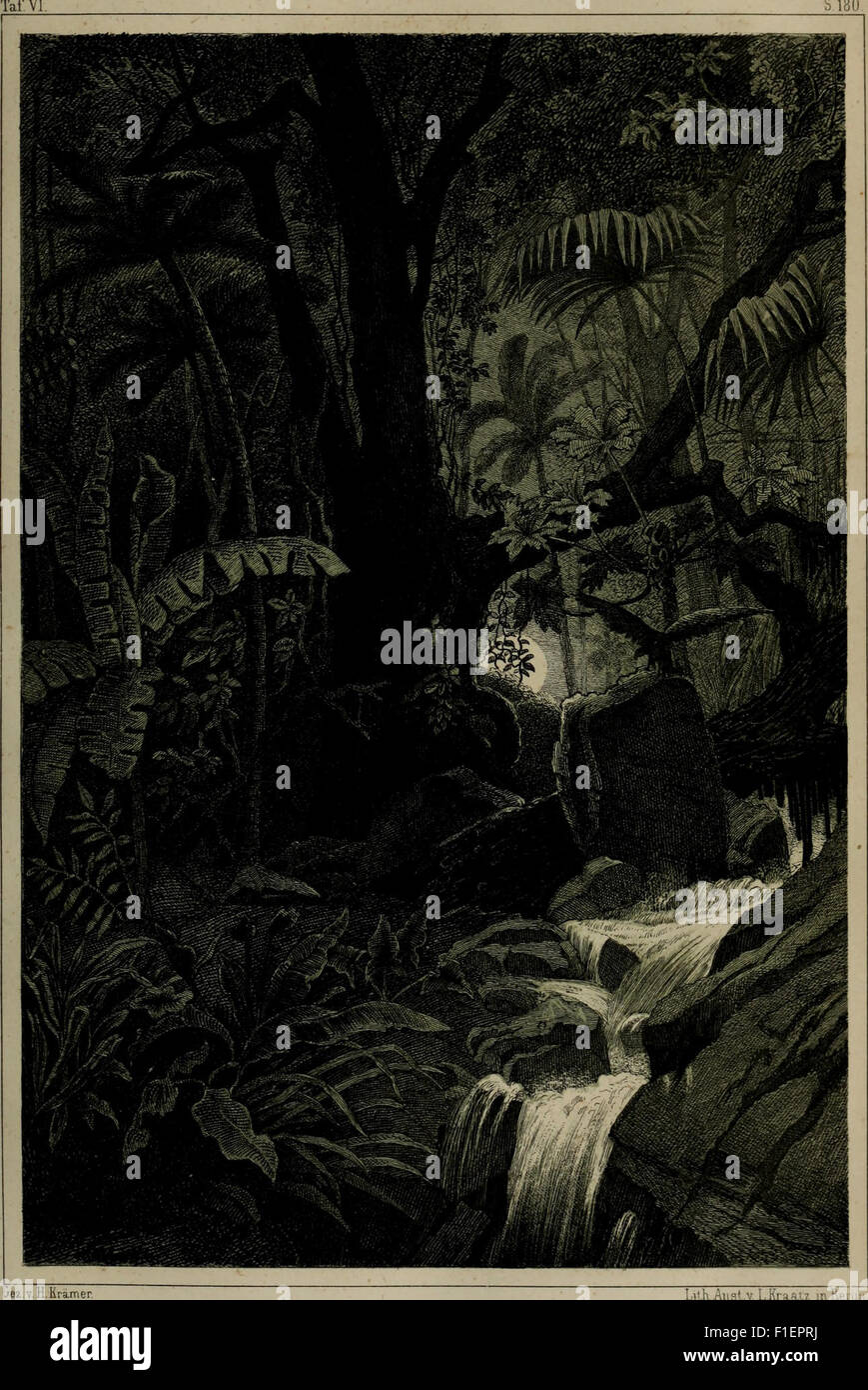 This 1859 work provides a popular overview of plant geography, aimed at ...