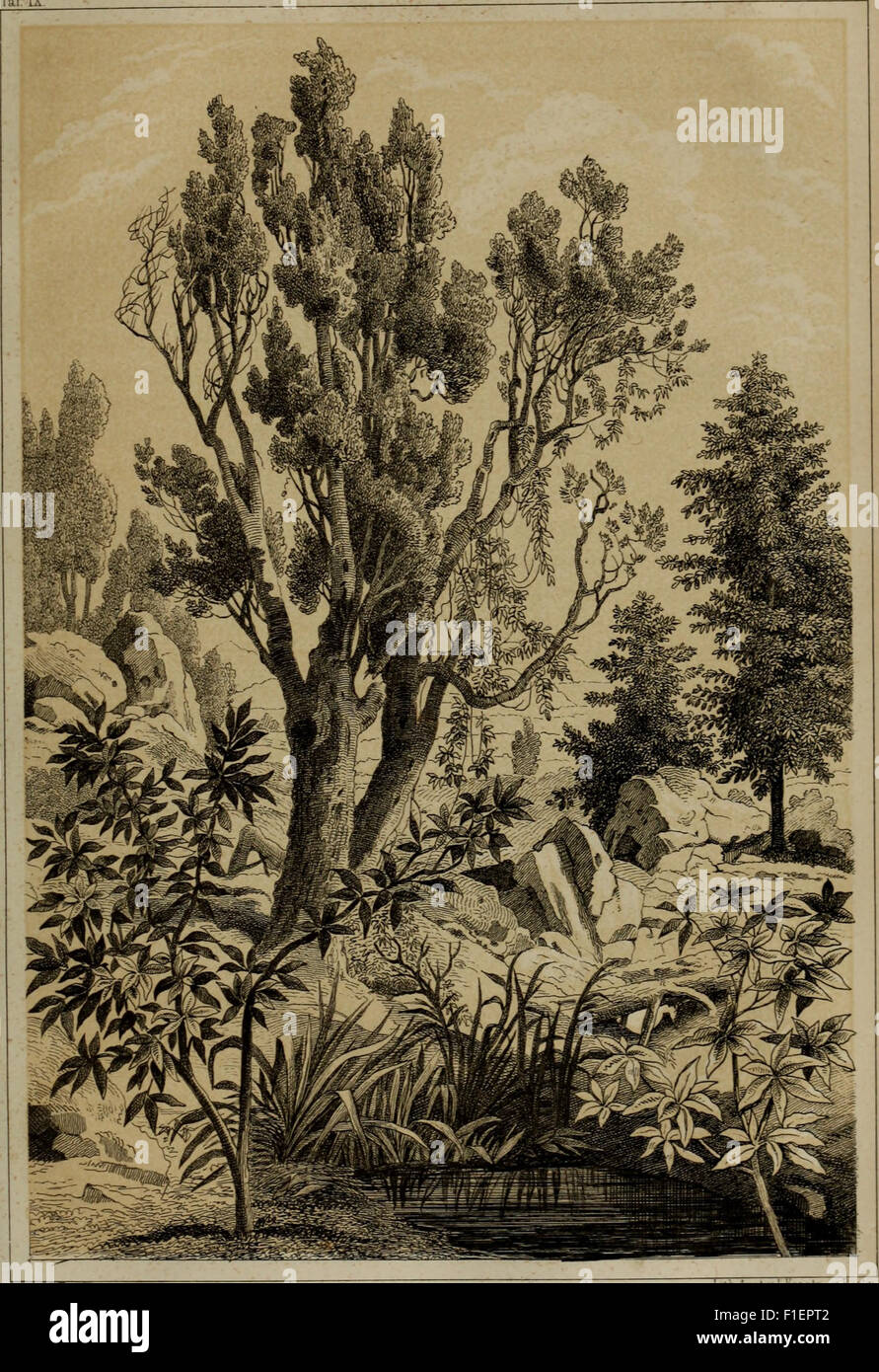 A 1859 work on plant geography, offering a popular presentation of the ...