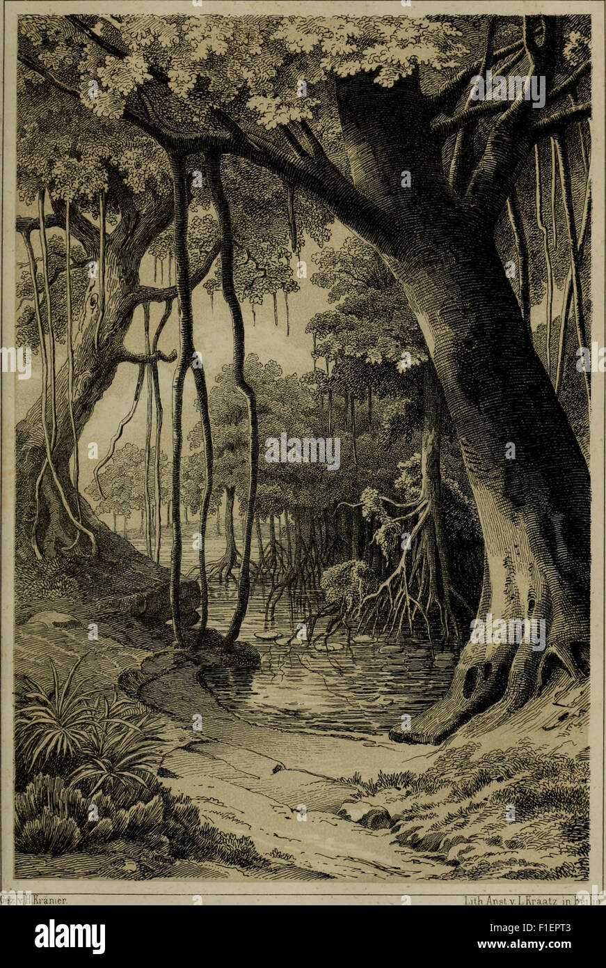 This 1859 work offers a popular representation of plant geography ...
