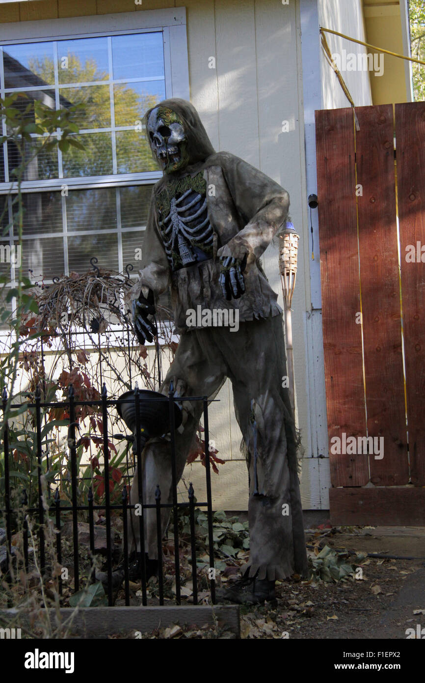 Hearse skeleton hi-res stock photography and images - Alamy