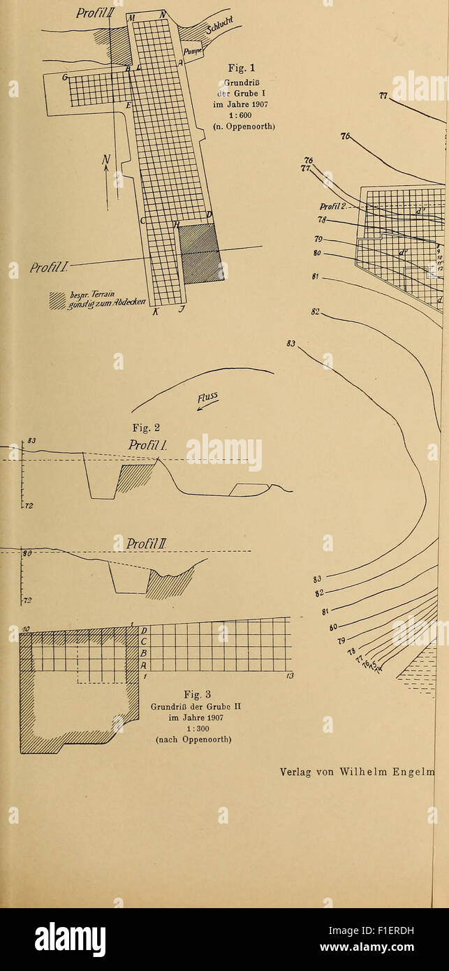 *Die Pithecanthropus-Schichten auf Java* explores the geological and ...