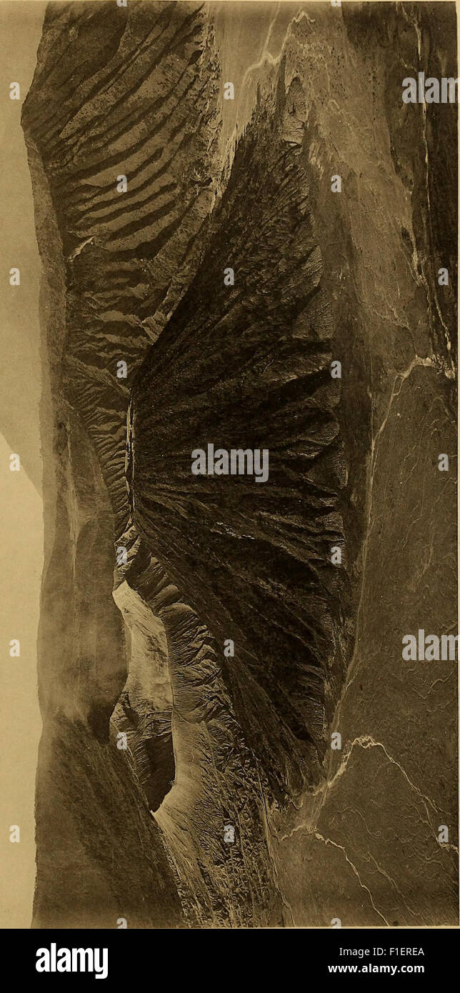 'Die Pithecanthropus-Schichten auf Java' (1907-1908) presents ...