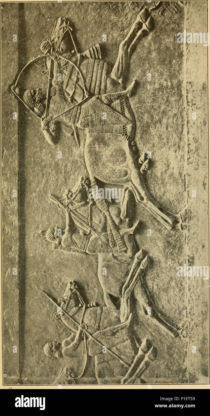 A 1921 work exploring the equestrian sculptures of Phidias, offering ...