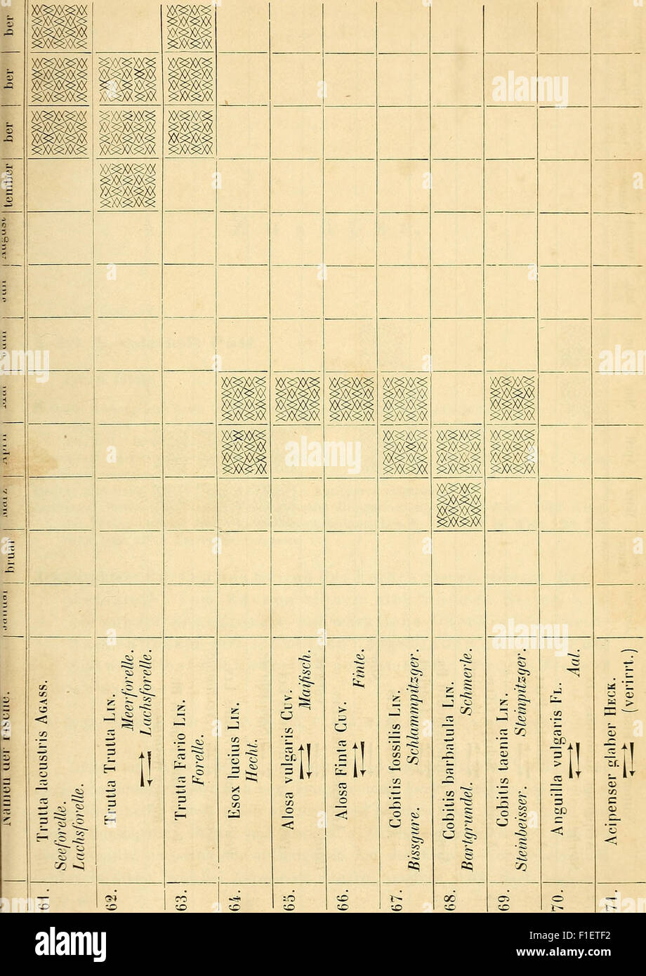 'Die Süsswasserfische von Mitteleuropa' (1863) provides a detailed ...