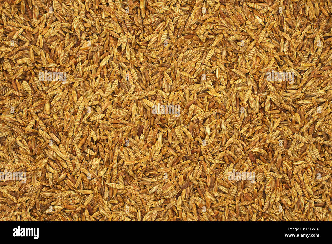 Cumin seeds background Stock Photo - Alamy