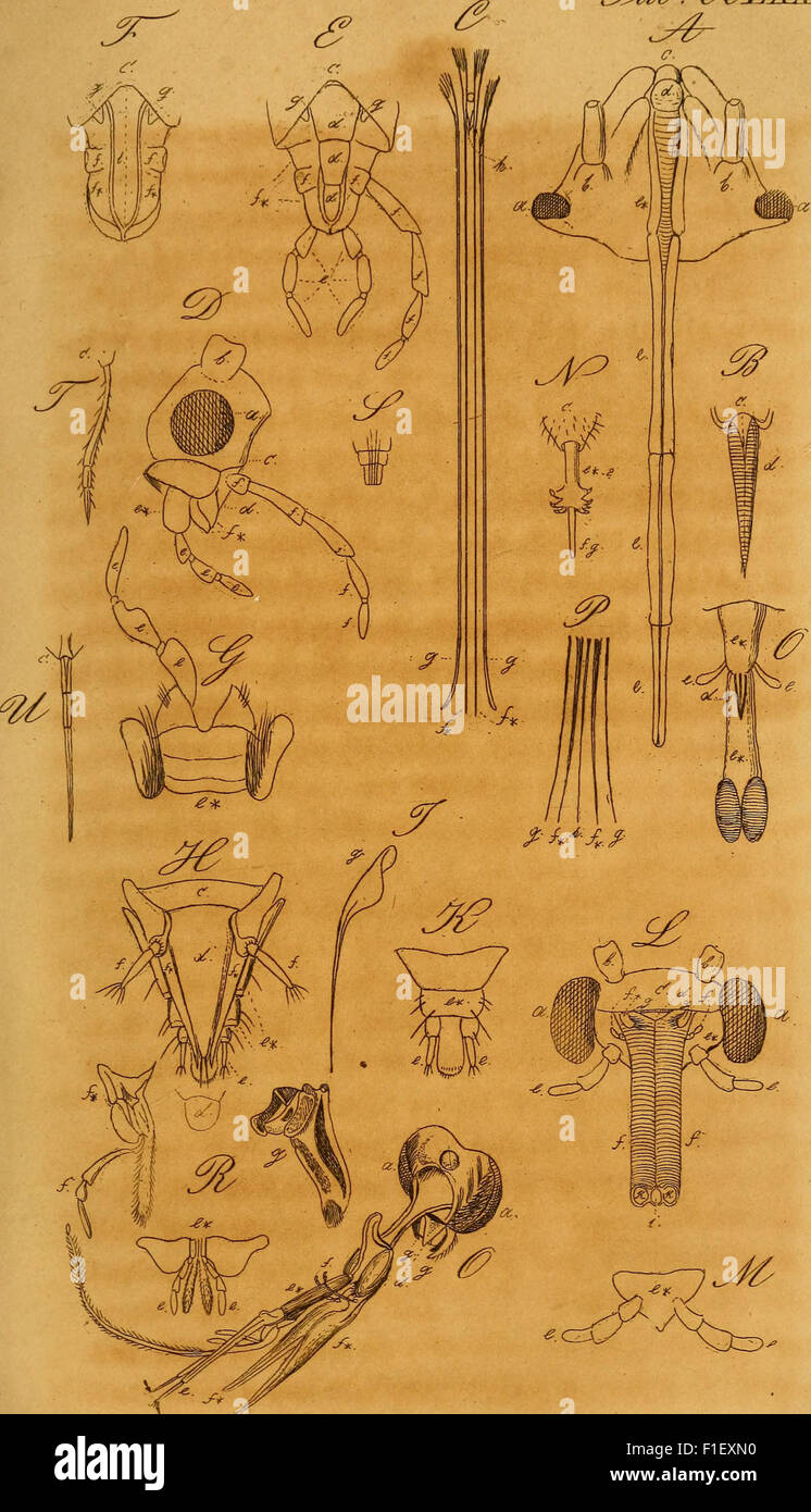 Published in 1831, this work features detailed, accurate illustrations ...