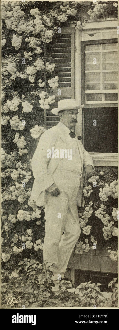 Dingee guide to rose culture (1909 Stock Photo - Alamy