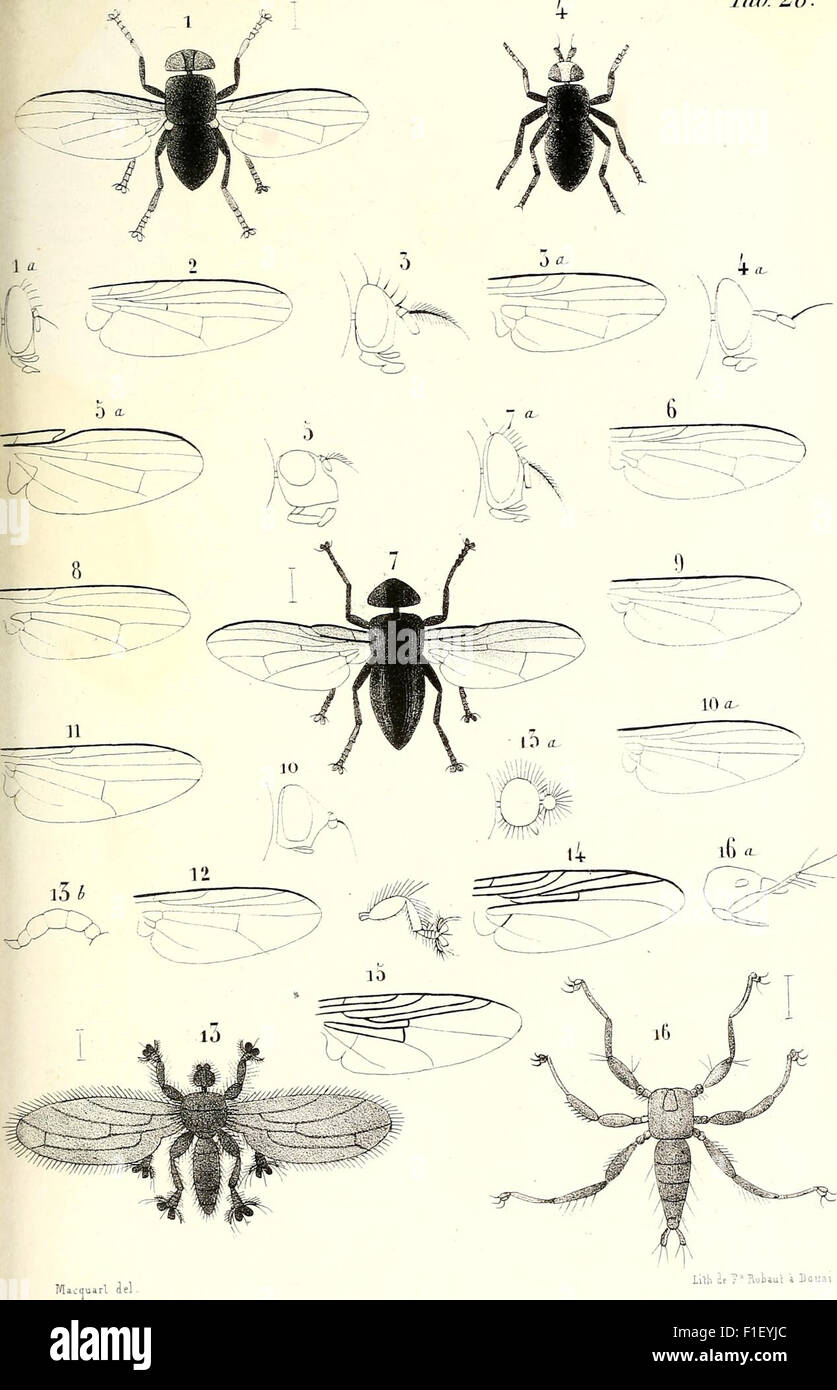 Published in 1838, this work focuses on exotic and lesser-known ...