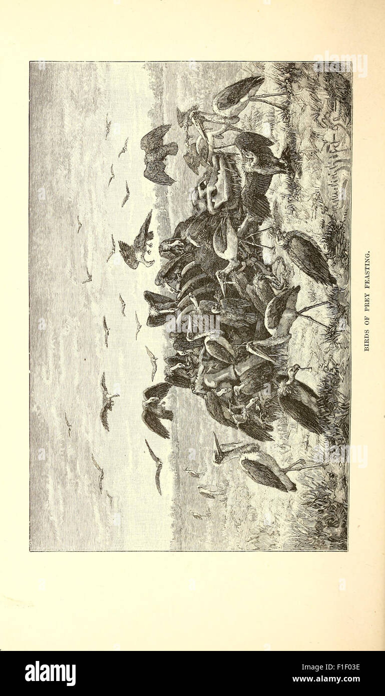 'Discovery of Lakes Rudolf and Stefanie' (1894) recounts Count Samuel ...