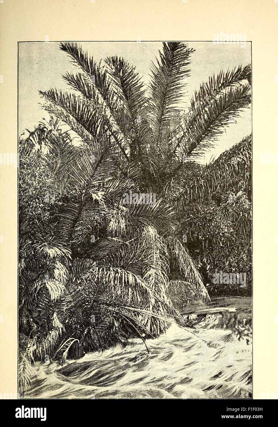 This 1894 publication details Count Samuel Teleki's exploration and ...