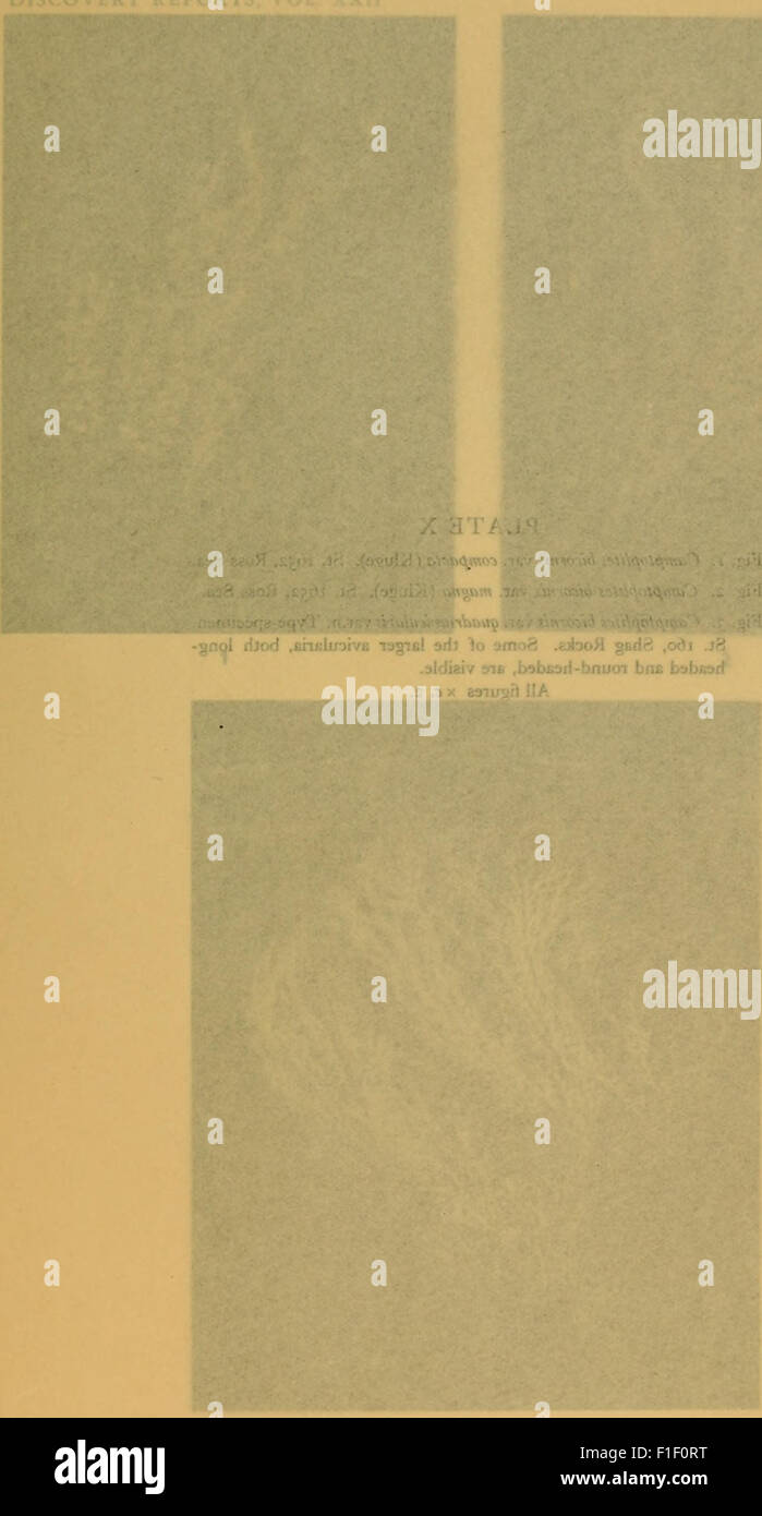 The 'Discovery Reports' (1943) presents the findings from the British ...